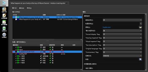 如何封装一个 Mkv 视频 · Tangshiminmujing Wiki · Github