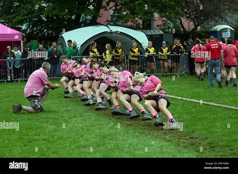 Rope Pulling Team Tug Of War Illustration Teams Pulling On Opposite
