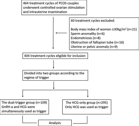 Comparison Of Dual Trigger And Human Chorionic Gonadotropin Medicine