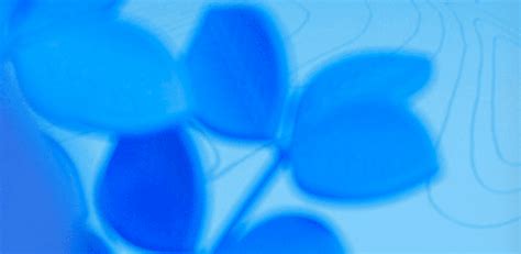 Color Picker Utility In Powertoys For Windows Microsoft Learn