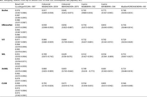 Table 2 From Benchmarking Weakly Supervised Deep Learning Pipelines For
