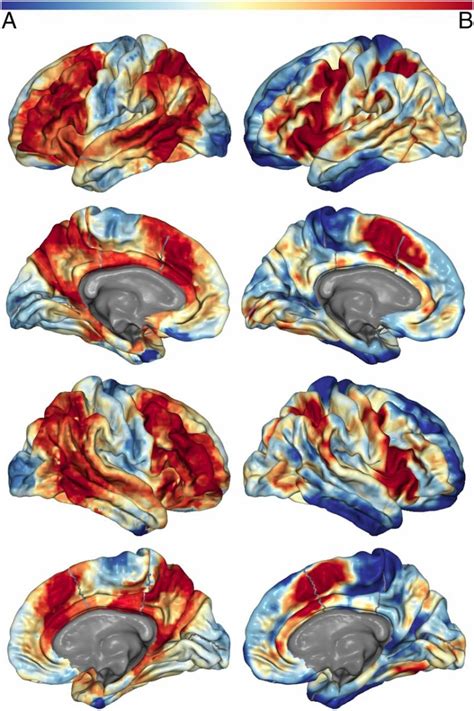 Modularity Of Mind Class Notes The Modular Theory Of The Mind Modularity Of Mind Class Notes The Modular Theory Of The Mind
