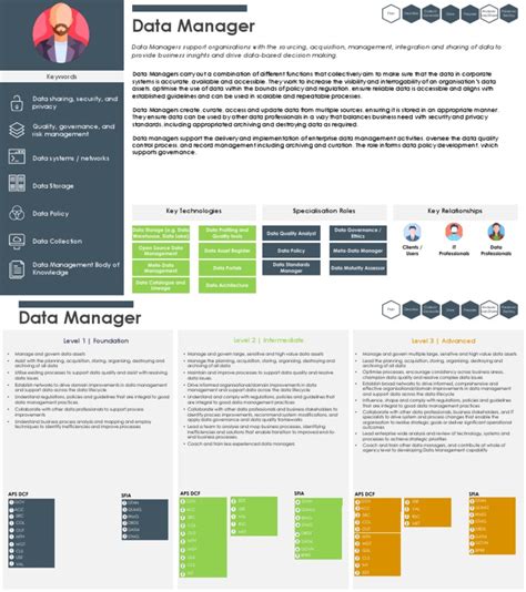 Dp Data Manager Pdf Metadata Governance