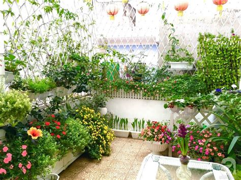 Những Ngôi Nhà Kế Bên Vườn Vườn Xinh Trồng Cây Theo Phong Cách Hiện đại