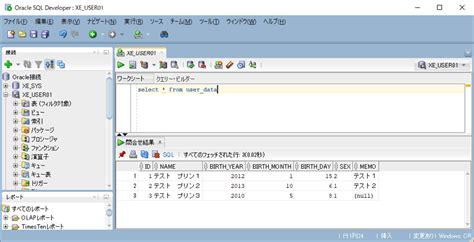 Excel VBAでOracle接続し取得したテーブルデータを シートにまとめて出力してみたITエンジニアとして経験学習したこと