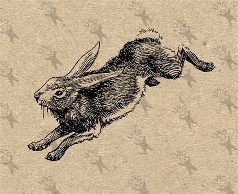 A Lebre Wiki 【rpg】hogwarts☇harry Potter Amino