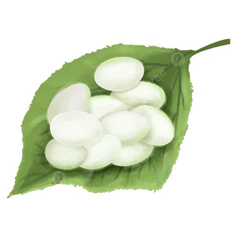 Cute Wind Png Picture Cute Wind Silk Free Elements Silk Free Elements Png Element Png Image