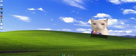 Live Wallpaper Cat Eats Chips Windows Xp Download On
