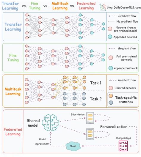 Adriano Tito On Linkedin Top This Board About Tranfer Learning Fine Tuning Multitask And…
