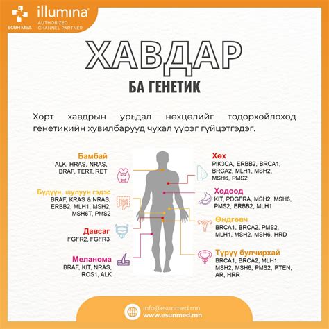 Есөн мед ХХК