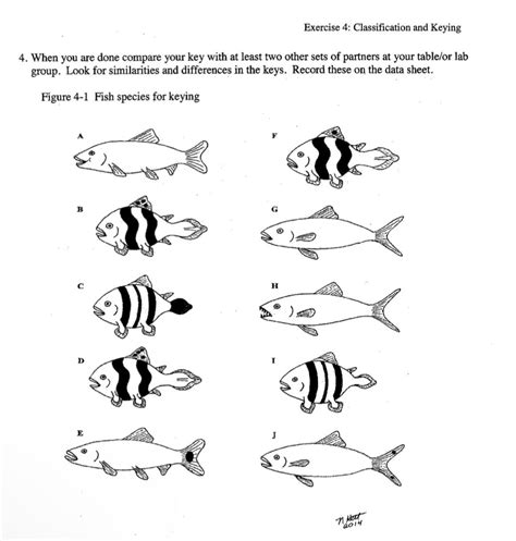 Solved Construct A Dichotomous Key For These Ten Fish On The Chegg Com