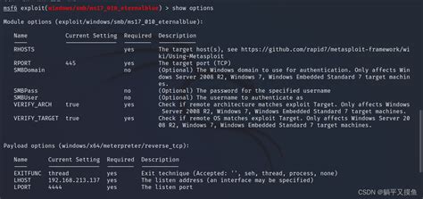 在kali操作系统上使用metasploit kali安装metasploit csdn博客