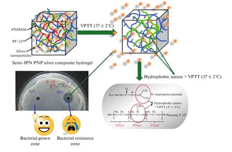 Schematic Diagram Of The Temperature Sensitive Semi Ipn Silver Download Scientific Diagram