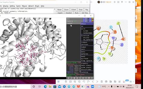 pymol做分子对接3d图，处理薛定谔分子对接后蛋白 化合物可视化 哔哩哔哩 bilibili