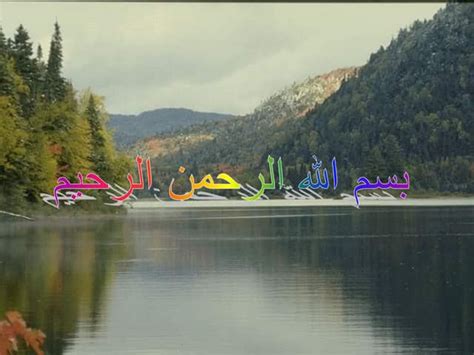 4 Diffuse Reticular Or Reticulonodular Pattern Pptx