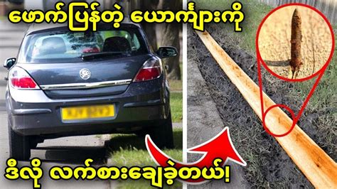 ပြောရခက်တဲ့ လူ့ဂွစာတွေအပေါ် ပညာသားပါပါလက်စားချေတုံပြန်ကြသူများ😱😱😱 Youtube