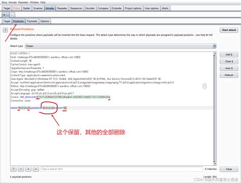 Ctf之旅（ctfhub技能树详细write Up已完结（密码口令xss）ctfhub Writeup Csdn博客