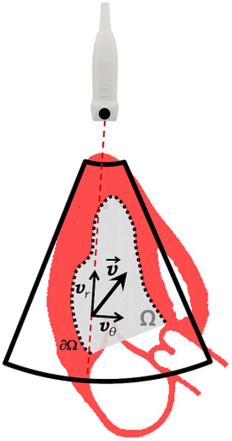 The Ivfm Algorithm Is Based On An Automatic ℓ 2 Norm Minimization It Download Scientific