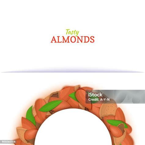 반원 프레임 아몬드 너트로 이루어져 있습니다 벡터 카드 그림입니다 포장 디자인 식품 버터 기름 너트 양 개 암 나무 프레임 셸 셸에서 헤이즐넛 과일 화장품 크림을 해독
