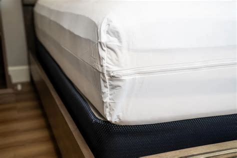 Bed Bug Proof Mattress Encasements