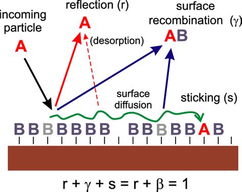 Scheme Of Interaction Of Neutral Reactive Species With The Surface Download Scientific Diagram