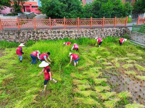 江西赣县区志愿助农暖人心 中新网江西新闻
