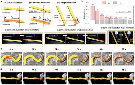 The Multi‐dimensional Transport Of Liquids On The Asfss Two Rows A