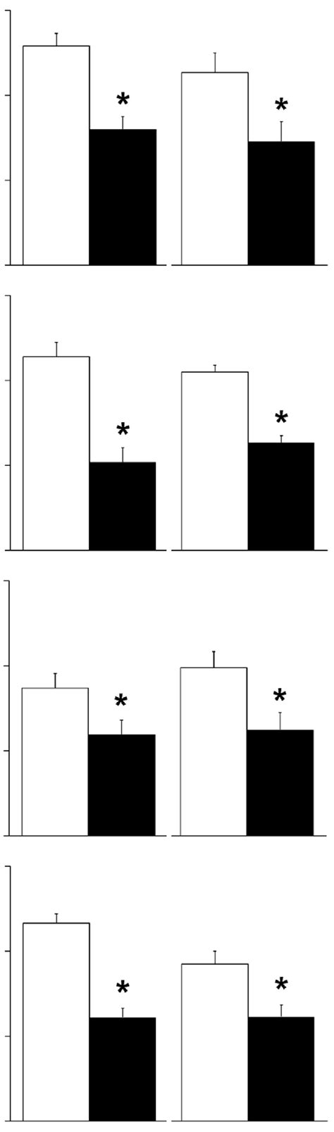 Muscle Fiber Cross Sectional Areas Fiber Cross Sectional Areas Means