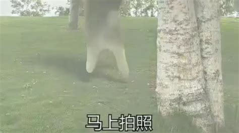 佳能400d 哔哩哔哩
