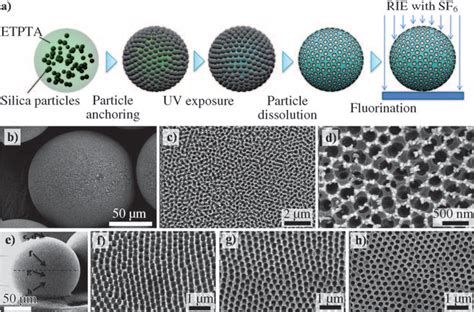 Figure 1 From Janus Microspheres For A Highly Flexible And Impregnable Water Repelling Interface