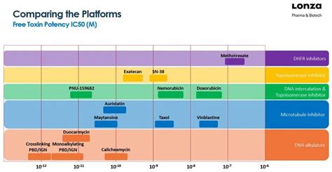 Potency Of Adc Payload Donggeon Kim