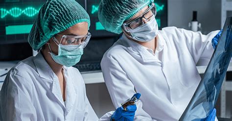 How To Become A Research Assistant Skills And Job Description Jobsdb