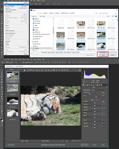 Solved Cannot Open Anything Using Camera Raw Help Adobe Community 9627167