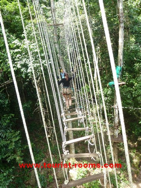 TREE TOP CLIMBING AND ZIPPINGAND SLIDING PHOTOS AND VIDEOS IN THAILAND KRABI