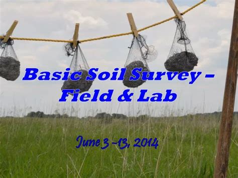 PPT Basic Soil Survey Field Lab PowerPoint Presentation Free Download ID