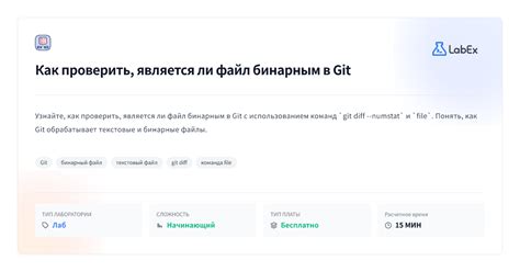 Как проверить является ли файл бинарным в Git Labex