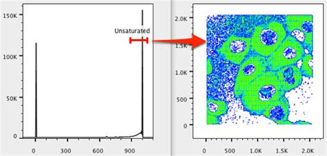 Image Files In FlowJo FlowJo Documentation Just Another WordPress Site
