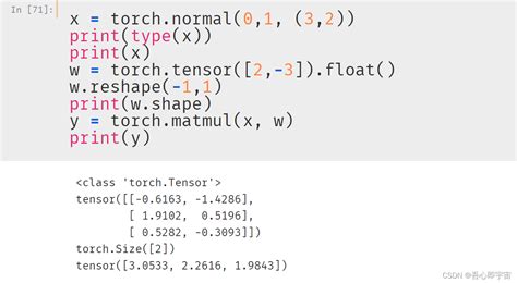关于运行torchmatmul（x，w）函数报错的问题 Runtimeerror Expected Scalar Type Float