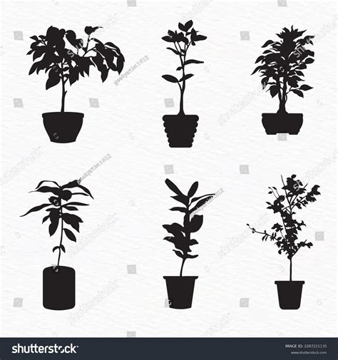 Silhouette Set Small Tree Planter Tob Stock Vector Royalty Free 2287221135 Shutterstock