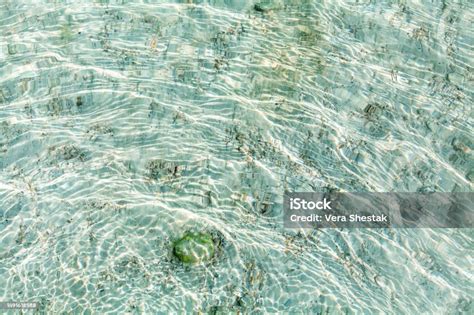 바닷물 파도 질감 수면의 잔물결 투명한 하늘색 바다 물 평면도 맑은 아쿠아 배경 태양 빛 반사 하얀 모래 바닥 수중 돌 열대 섬 해변 0명에 대한 스톡 사진 및 기타 이미지