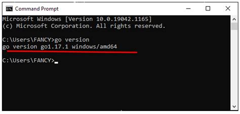 Installation Of Go In Windows Learn Etutorials