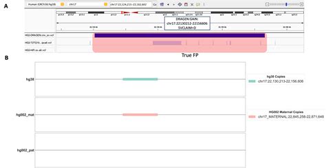 Seeking Truth Solving CNV Evaluation Challenges With T2T Genome Assembly Broad Clinical Labs