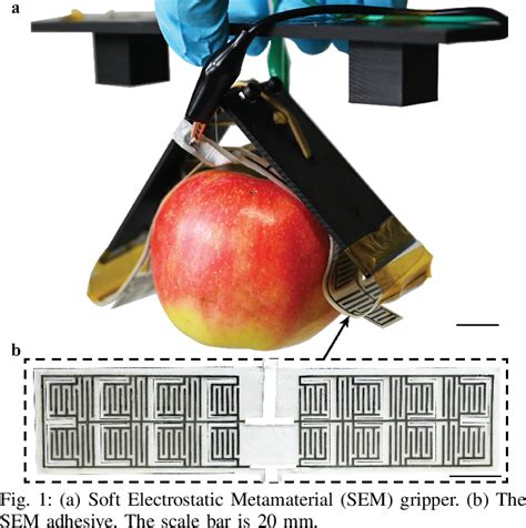 Hybrid Soft Electrostatic Metamaterial Gripper For Multi Surface Multi Object Adaptation