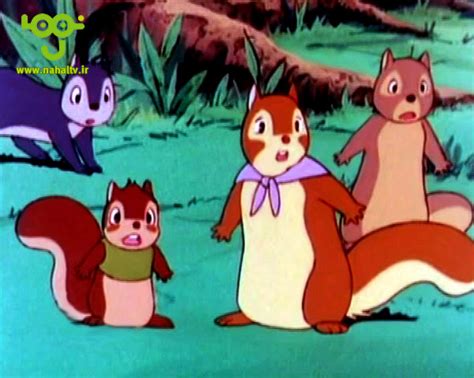 بنر سنجاب کوچولو شبکه نهال