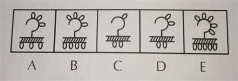 6 Contoh Soal Psikotes Bakti Bca
