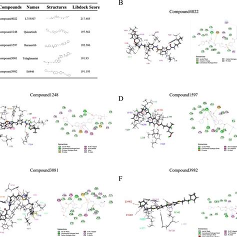 Structure Based Virtual Screening To Identify Potential Inhibitors A Download Scientific