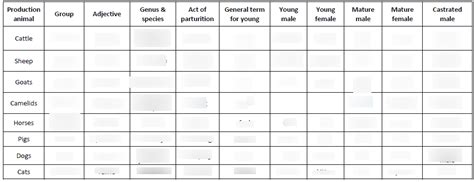 Diagram Of Terminology Overview Quizlet