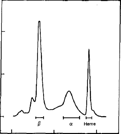 Separation Of The Polypeptide Chains Of The Hemoglobin By High Pressure Download Scientific