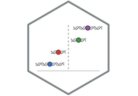 Github Samuelmathieu Codelascamolmrjl A Molecular Mendelian