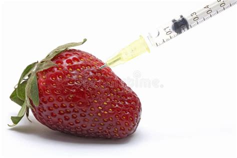 Genetic Food Engineering Stock Image Image Of Laboratory 19077597